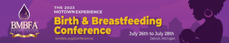 Conference Sponsor | BMBFA